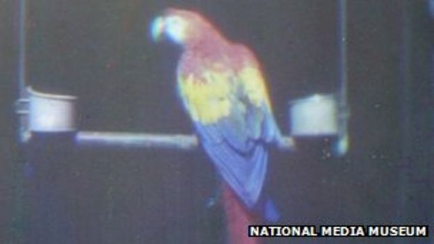 World's first colour film footage viewed for first time - BBC News