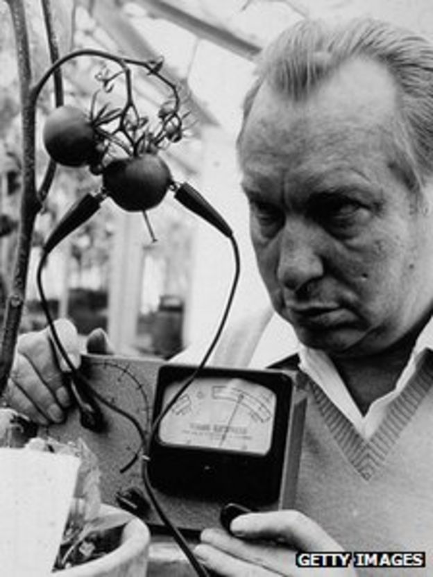 Scientologists 'tried to stop' The Master film - BBC News