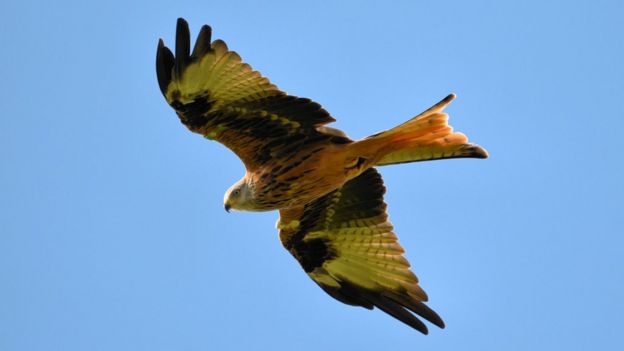 Your pictures of Scotland: 14 - 21 September - BBC News