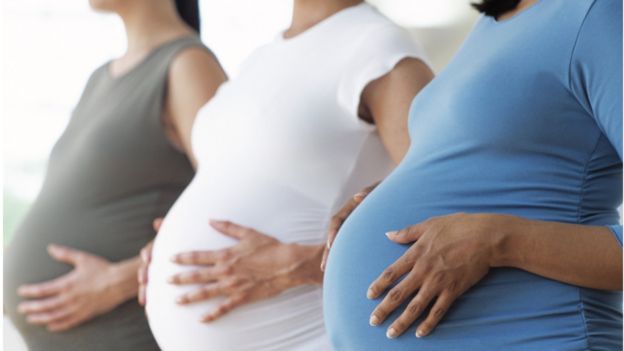 Whooping cough proteins evolving 'unusually' fast - BBC News