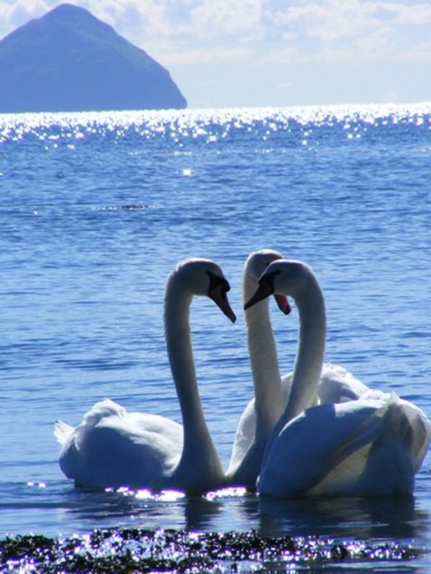 Your pictures of Scotland: 21 - 28 September - BBC News