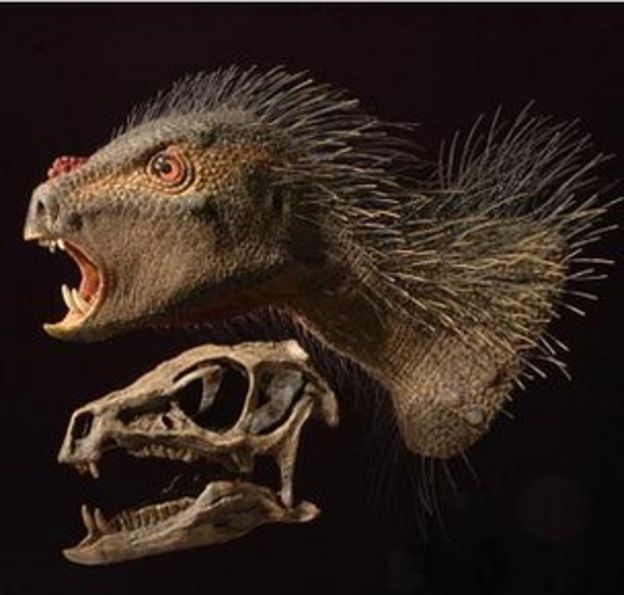 Dwarf 'vampire' dinosaur was a plant eater - BBC News