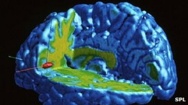 The psychology of the powerful - BBC News