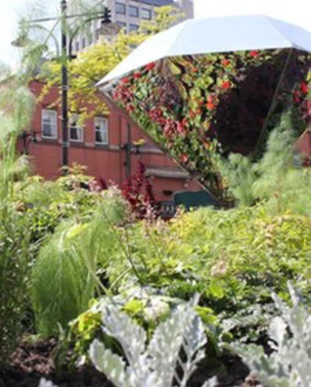 Oldham and Wigan win at Britain in Bloom awards - BBC News