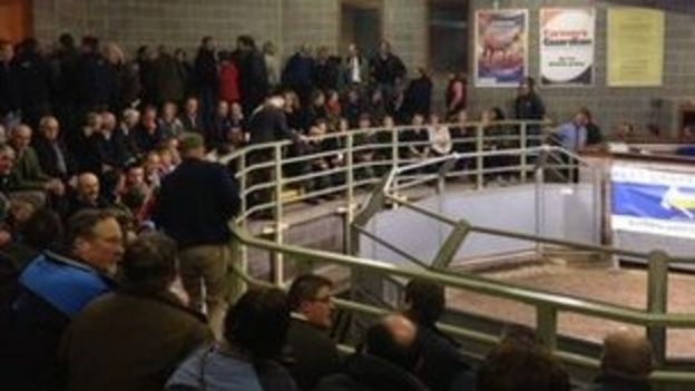 Dairy farmers threaten more protests over milk prices - BBC News