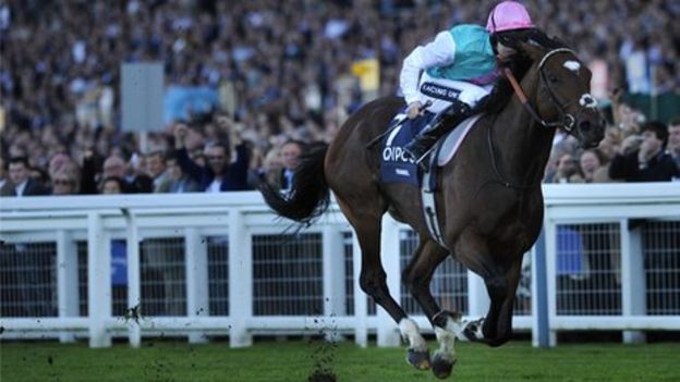 Frankel foal sells for £1.15m at Goffs sale in London - BBC Sport