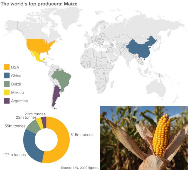 Food price crisis: What crisis? - BBC News