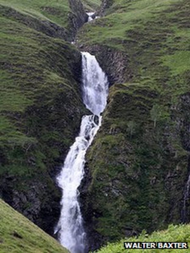 Selkirk dog Sparky rescued after 16 days in Grey Mare's Tail - BBC News