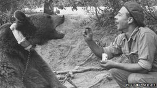 Wojtek the bear film plan mooted - BBC News