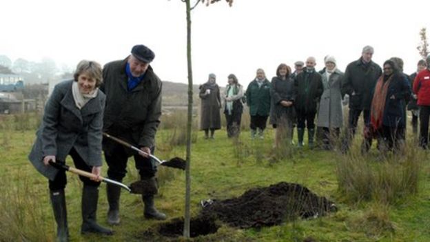 Chatsworth to restore 25,000 trees to landscape - BBC News
