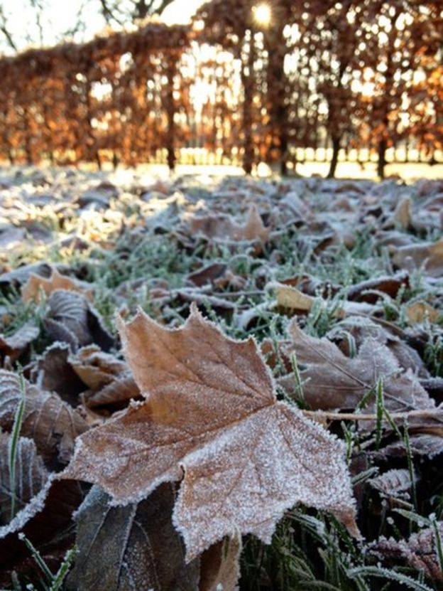 Your pictures of Scotland: 23 - 30 November - BBC News