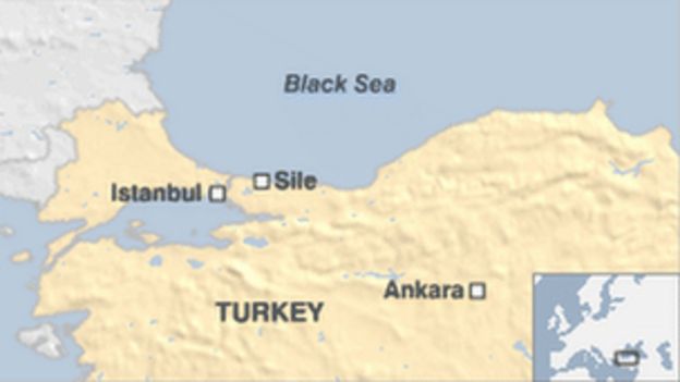 Cargo ship Volgo Balt 199 sinks off Turkey coast - BBC News