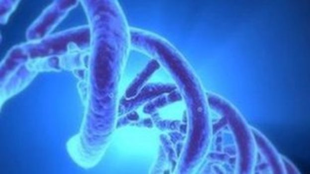 Gene therapy trial 'cures children' - BBC News