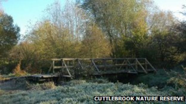 New bridge plan for Cuttle Brook near Thame - BBC News