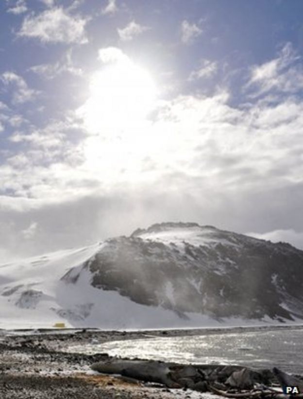 Invasive insects changing Antarctic landscape - BBC News