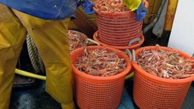 Turnover falls at Dawnfresh Seafoods - BBC News