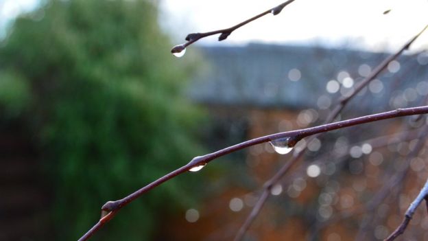 Your pictures of Scotland: 4 - 11 January - BBC News