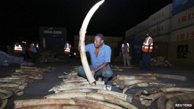 Kenya seizes smuggled ivory in Mombasa port - BBC News