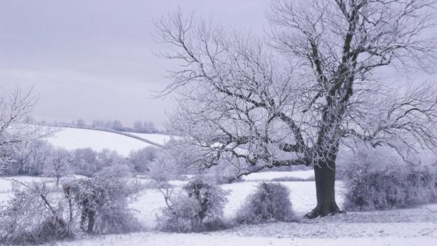 Your latest pictures of snow - BBC Weather
