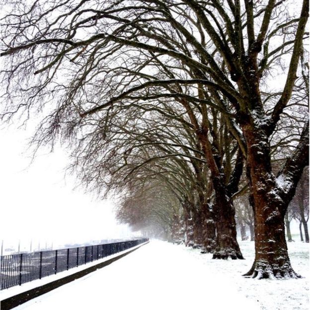 Your latest pictures of snow - BBC Weather