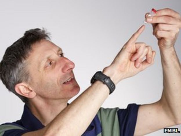 DNA 'perfect for digital storage' - BBC News