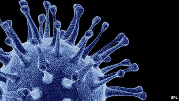 Controversial bird flu work resumes - BBC News