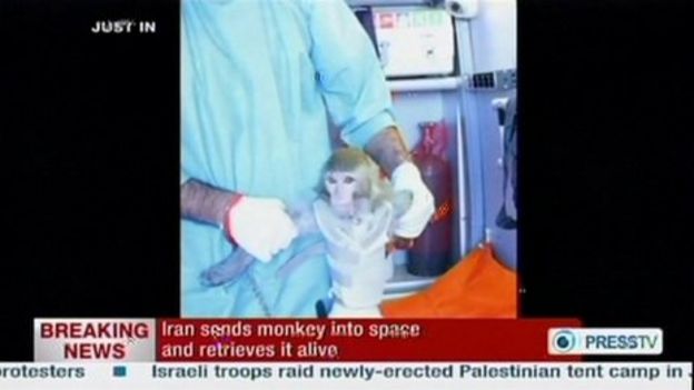 Iran 'successfully sends monkey into space' - BBC News