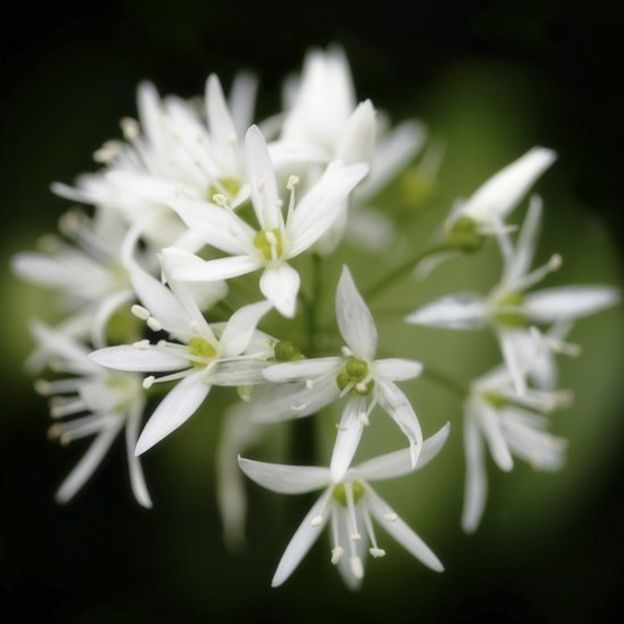 In pictures: Royal Photographic Society Bodelwyddan exhibition - BBC News