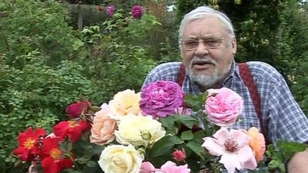 Queen's rose-grower Peter Beales honoured at funeral - BBC News