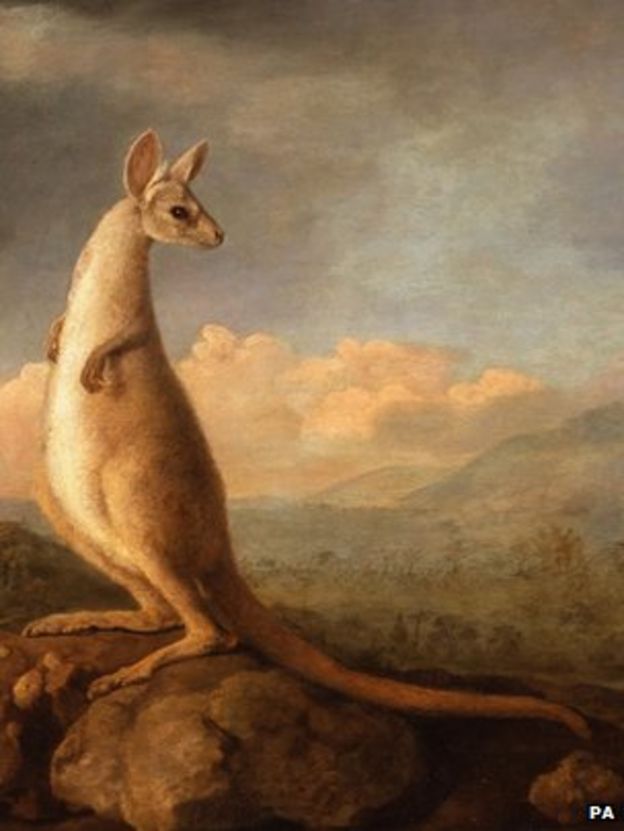 George Stubbs' kangaroo and dingo paintings get export bar - BBC News