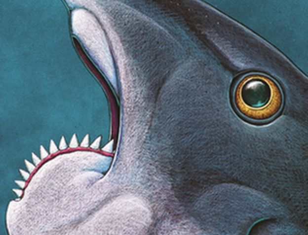 Fish fossil is a clue to ancient fish with weird teeth - BBC Newsround