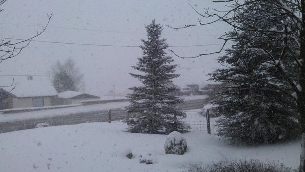 Your photos of snow - BBC Weather