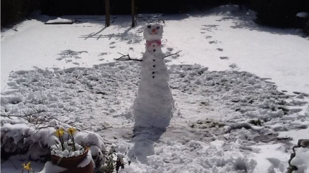 Your snow shots as winter returns to the UK - BBC Newsround