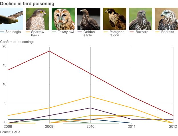 Sharp drop in Scottish bird poisoning cases follows new crime ...