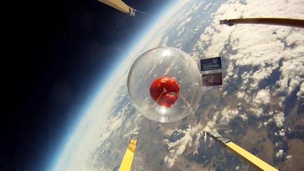 In pictures: Red Nose goes into space - BBC News