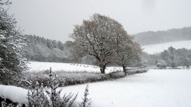 Your photos of the snow - BBC Weather