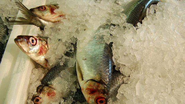 Unlabeled meat found in 20% of sausages tested in Canada - BBC News