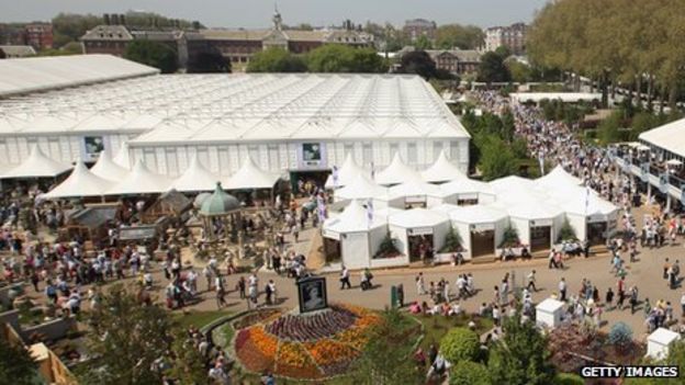 Chelsea Flower Show: The small show with a big birthday - BBC News