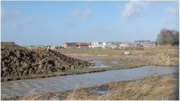 Didcot dig: Petition calls for history trail - BBC News