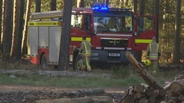 Thetford Forest fire contained by crews - BBC News