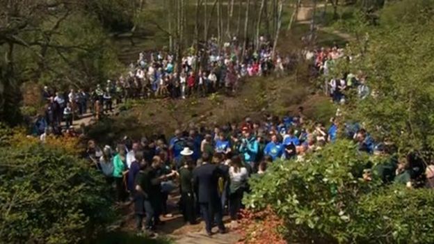 Minstead Trust launches fundraising appeal after storm damage - BBC News