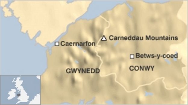 Carneddau ponies a 'unique' breed, say Aberystwyth University ...