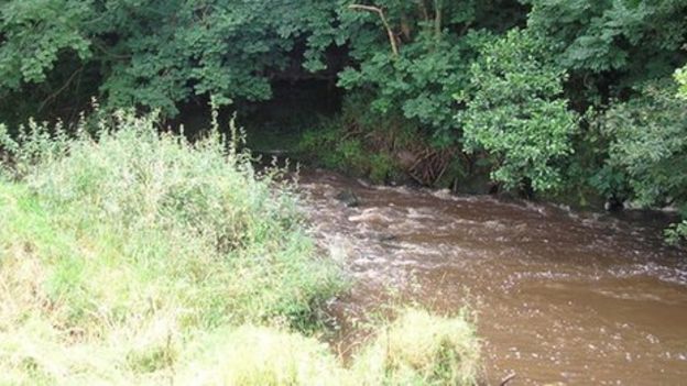Sepa and Scottish Water probe pollution at Dighty Burn - BBC News