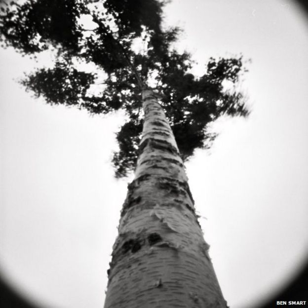 Your pictures: Pinhole photography - BBC News
