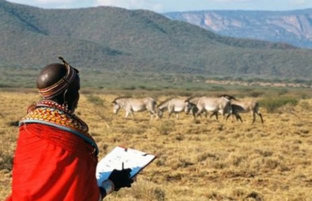 Saluting 'local heroes of conservation' - BBC News