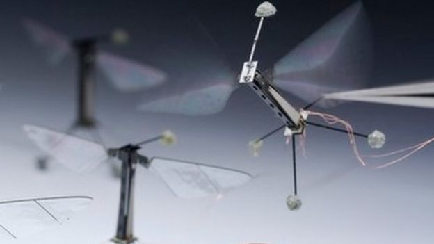 Flying robots: Nature inspires next generation design - BBC News