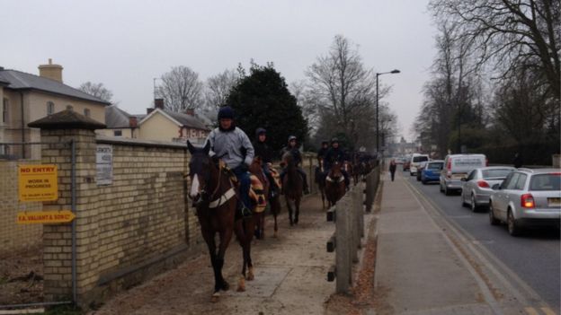 Newmarket: Photos of the gallops, racecourse and stud - BBC Sport