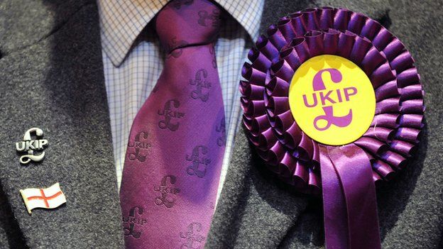 UKIP makes big gains in local government elections - BBC Newsround