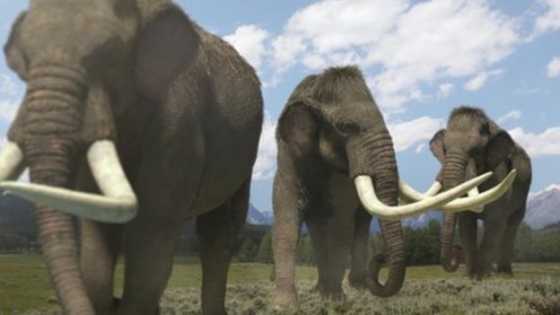 Uncovering the secrets of North America's Ice Age giants - BBC News