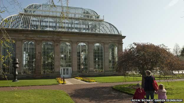 What are botanic gardens for? - BBC News
